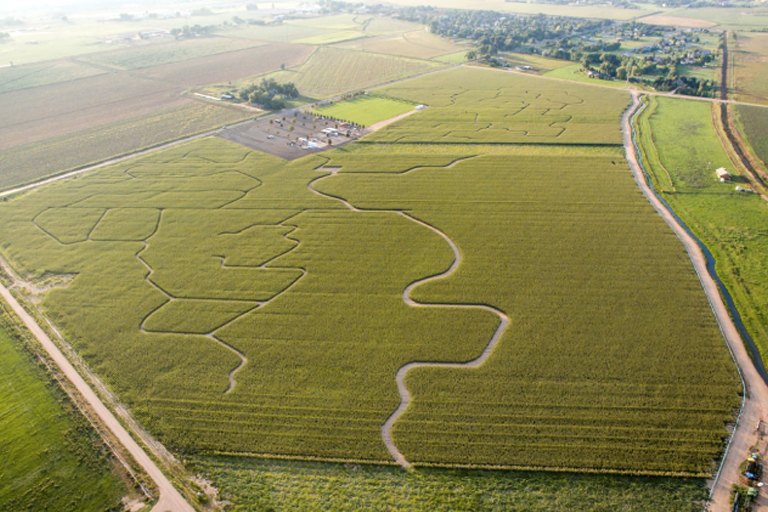 Jack Lantern's Northern Colorado Corn Maze - Fort Collins